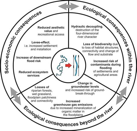 Unintended Consequences Of Structural Flood Protection Include Download Scientific Diagram