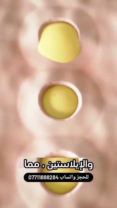 الدرما رول اكسبلورر Youtube