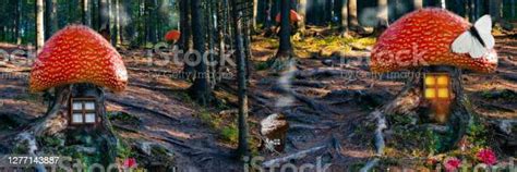 소나무와 나무 뿌리와 마법의 환상적인 수엽 숲 플라이 아가릭으로 만든 지붕이있는 노메를위해 오래된 나무 그루터기로 만든 창문이있는 동화 같은 집 아름 다운 자연 특이 한