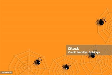 트렌디한 할로윈 색조의 거미줄 거미 및 복사 공간이 있는 할로윈을 위한 추상 프레임 벡터 10월에 대한 스톡 벡터 아트 및 기타