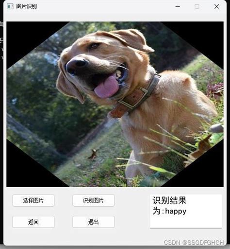 0040期基于python深度学习的狗狗表情识别 含数据集狗脸数据集 Csdn博客