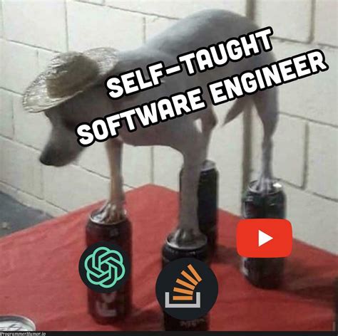 Selftaughtsoftwareengineer ·