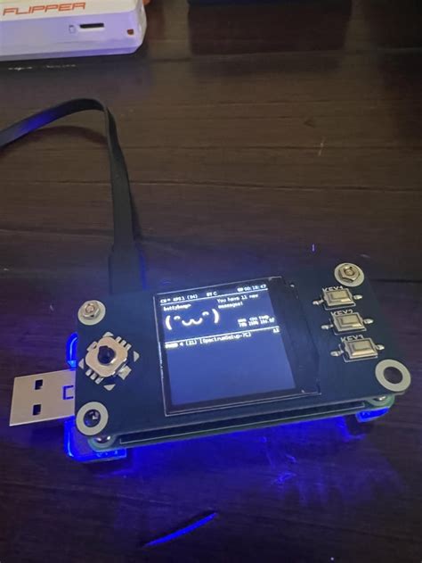 Some Pwnagotchi Pr0n R Pwnagotchi