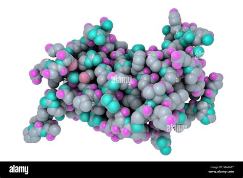 Human Growth Hormone Structure