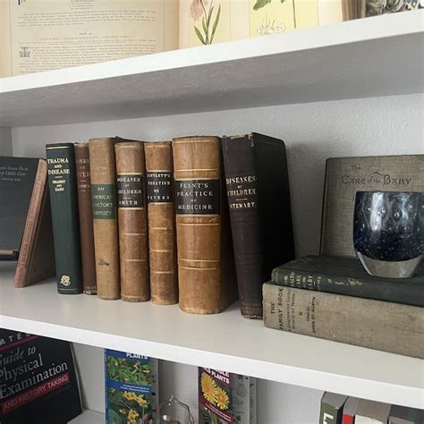 1880 Normal Outline Of The Common School Branches Early American