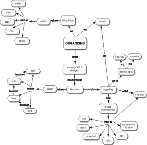 A Concept Map Outlining The Content Topics Targeted In Tinas Pbl