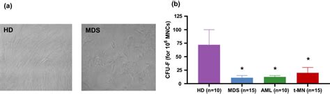 Phenotype And Growth Properties Of Patients And Hd Derived Mscs A