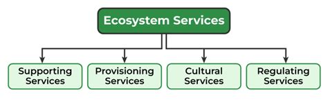 Types Of Ecosystem Services Cbse Class 12 Ecosystem Geeksforgeeks