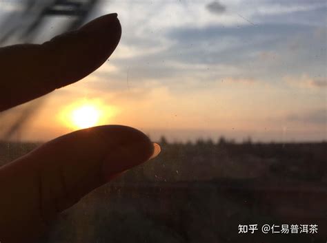 普洱茶属于什么茶？ 知乎