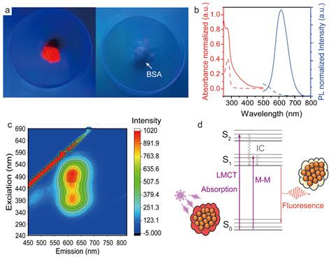 Photoluminescent Nanocellulosic Film For Selective Hg2 Ion Detection
