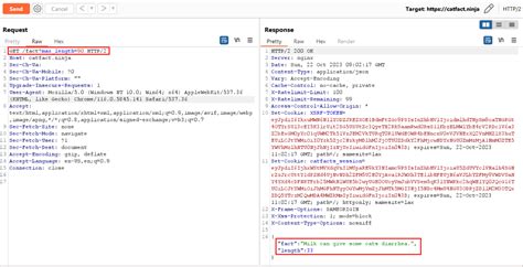 Interaction With API Endpoints Manipulation Part 2 Shahul Hameed