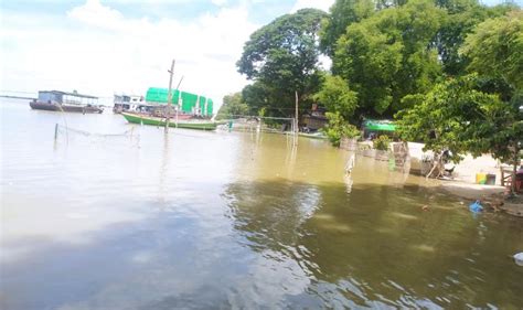 ညောင်ဦးမြို့နယ်တွင် ဧရာဝတီမြစ်ရေမှတ် စိုးရိမ်ရေမှတ်ရောက်ရှိရန် ၂၁၂၀စင