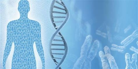 全基因组测序 迈杰转化医学