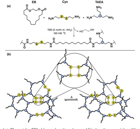 Figure 1 From Long Chain Polyamide Covalent Adaptable Networks Based On Renewable Ethylene
