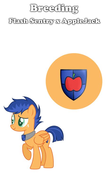 Mlp Breeding Flash Sentry X Applejack By Pokeami On Deviantart