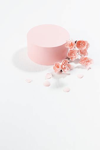 발렌타인 데이 무대 모형은 분홍색 실린더 연단과 부드러운 사쿠라 꽃의 나뭇 가지 프레젠테이션 화장품 상품 브랜딩 수직을 위해 햇빛에 흰색 나무 배경에 꽃잎 가벼운에 대한