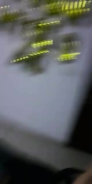 Instagram Pizza Wali Viral Video Eporner