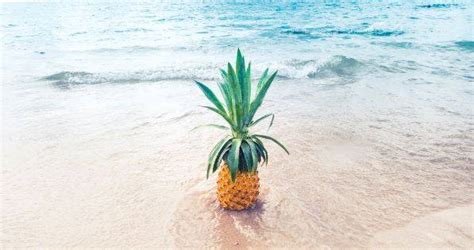 Sex Am Strand Worauf Ihr Beim Sex Am Meer Achten Solltest