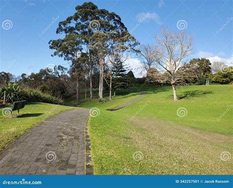 Yendell Park Stock Image Image Of Shrub Zealand Tree 342257501