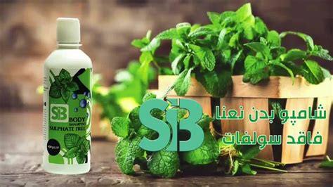 شامپو بدن بدون سولفات نعنا سیب ام ال ام Sibmlm نماینده نانو ادیب
