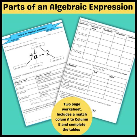 Identifying Parts Of An Algebraic Expression Worksheet Tpt
