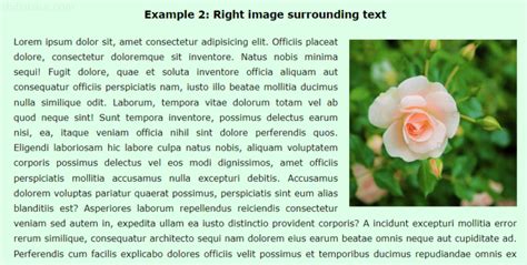How To Wrap Text Around An Image In HTML