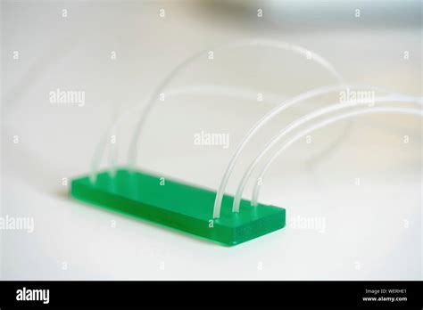 Lab On Chip Microfluidic Device Stock Photo Alamy