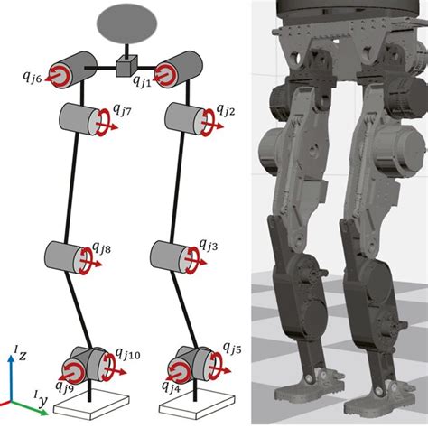 Modelling And Coordinate System Setting Of The Bipedal Robot Download Scientific Diagram