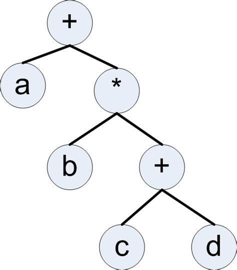 Topic Tree Data Structures COP