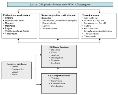 Recommended Idsr Priority Diseases Core Functions And Activities In