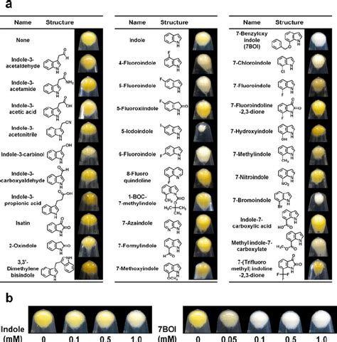 Reduction Of Staphyloxanthin Production In S Aureus In The Presence Of
