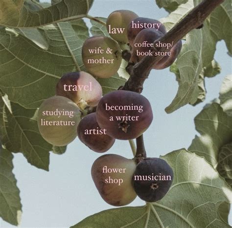 My Fig Tree Fig Tree Analogy Sylvia Plath Fig Tree Fig Sylvia