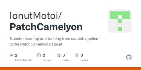 PatchCamelyon Patch Camelyon NN Final Ipynb At Main IonutMotoi