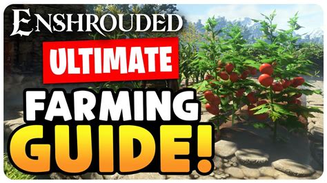 Enshrouded Ultimate Farming Guide Pro Tips And Tricks Youtube