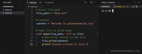 Python Open File In Write Mode