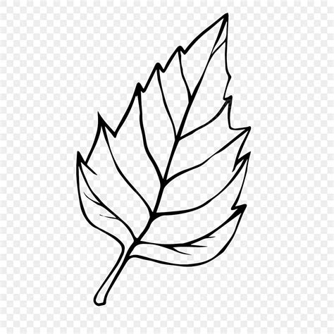 How To Draw Leaf Design