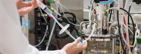 Upstream Process Development