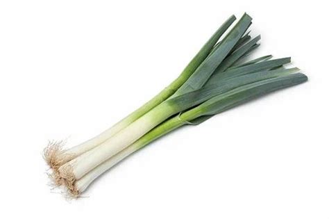 Leeks 100g ग्रीन लीक फ्लेक Beru Ecommerce India Bengaluru Id 2850795569573