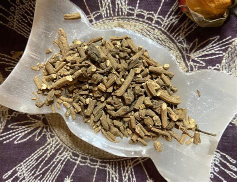 Fleece Flower Root Sex Longevity Energy Binding Sealing Intent Strength Fertility All