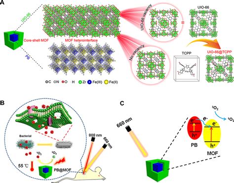 Scheme 1 Schematic Diagram Of The Structure And Antibacterial Download Scientific Diagram