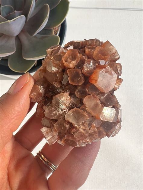 Aragonite Cluster Aragonite Specimen Raw Crystal Etsy Red Aragonite