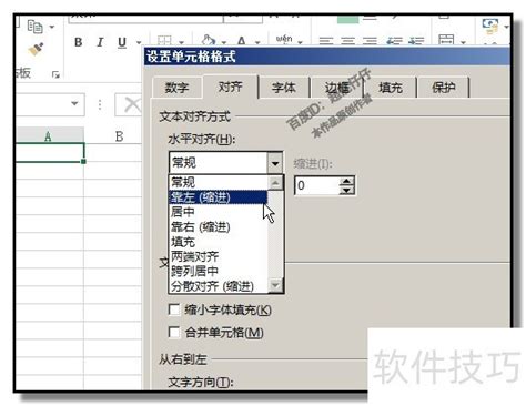 Excel工作表怎样把文字或数字放在单元格右下角 软件技巧 Zol软件下载