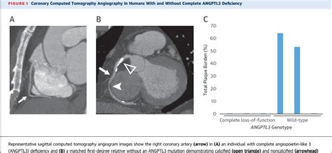 Hypolipidemia Semantic Scholar