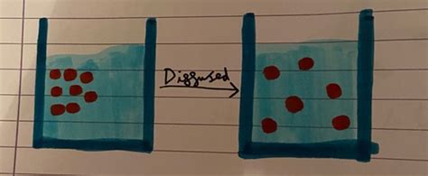 Diffusion Osmosis And Active Transport Flashcards Quizlet