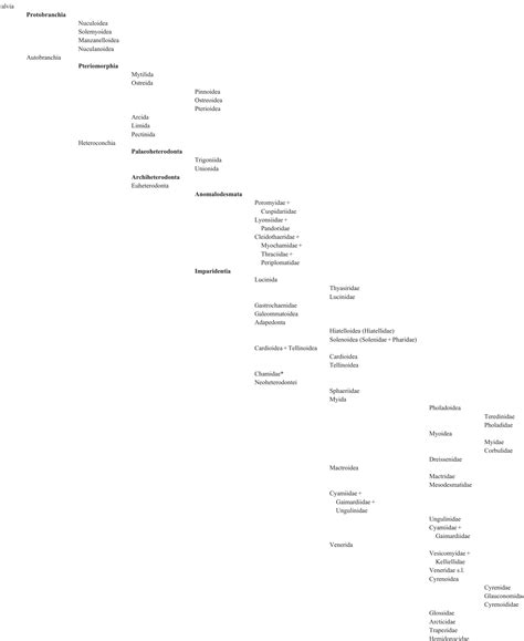 The Six Major Monophyletic Lineages Of Modern Bivalvia