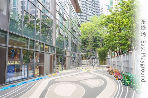 喜报｜金生解锁ib世界学校 新闻资讯