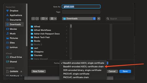 Gitlab Workflow Extension For Vs Code Doesnt Trust Self Signed Certificates On Windows Gitlab