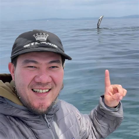 Orca Slash 😱 So Fun To Watch These Orcas Hunting This Video Is Just