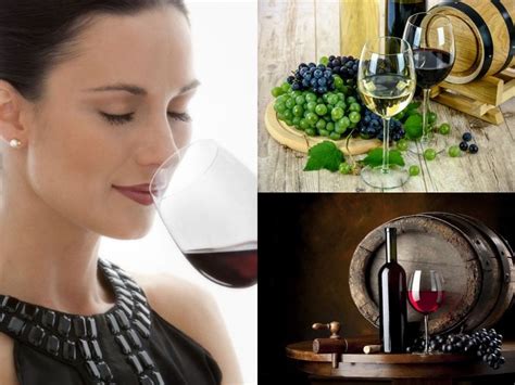 ဝိုင်သောက်ခြင်းရဲ့ ကောင်းကျိုး ၁၀ ချက် Myanmarload