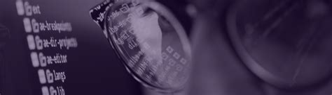 Software Development Models